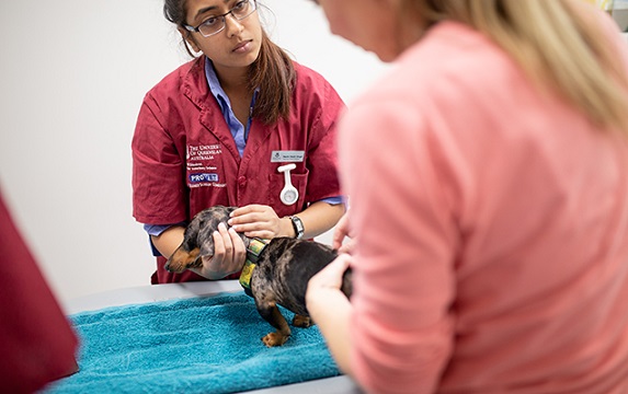 A student partnership success story - School of Veterinary Science ...